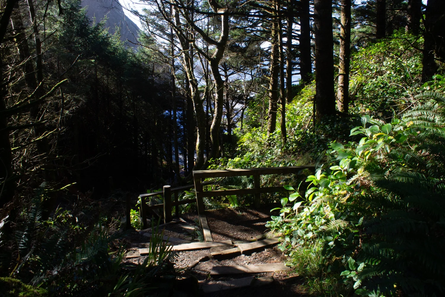 How to Find Short Beach on the Oregon Coast — Pines and Vines