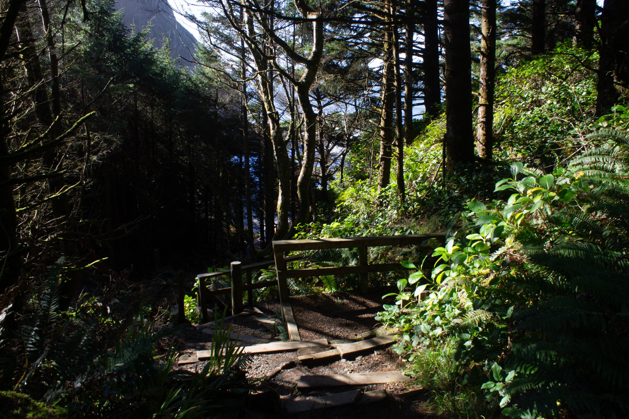 How to Find Short Beach on the Oregon Coast — Pines and Vines