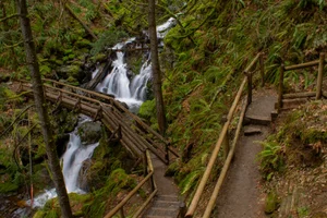 10 Best Waterfalls in Washington’s Columbia Gorge — Pines and Vines