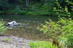 The Lewis River’s Magnificent Waterfalls — Pines and Vines