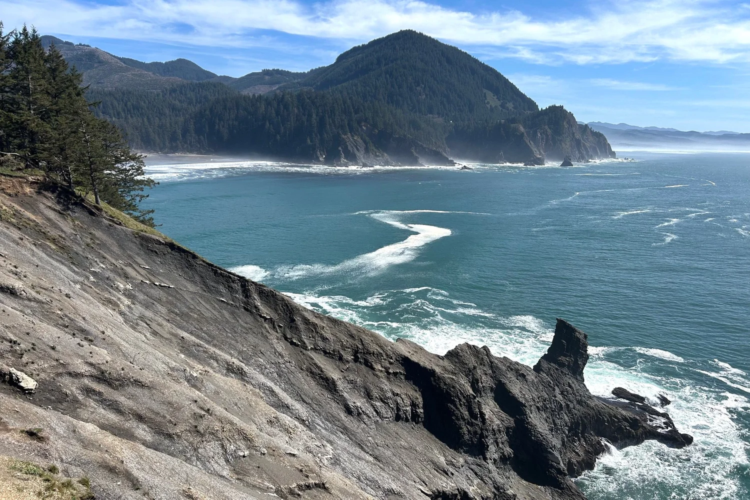 Quick Guide to Oswald West State Park — Pines and Vines