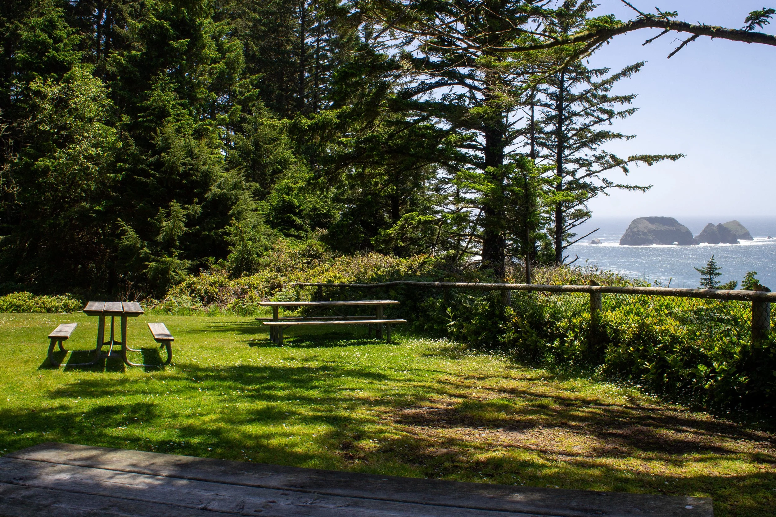 Quick Guide to Cape Meares State Scenic Viewpoint — Pines and Vines