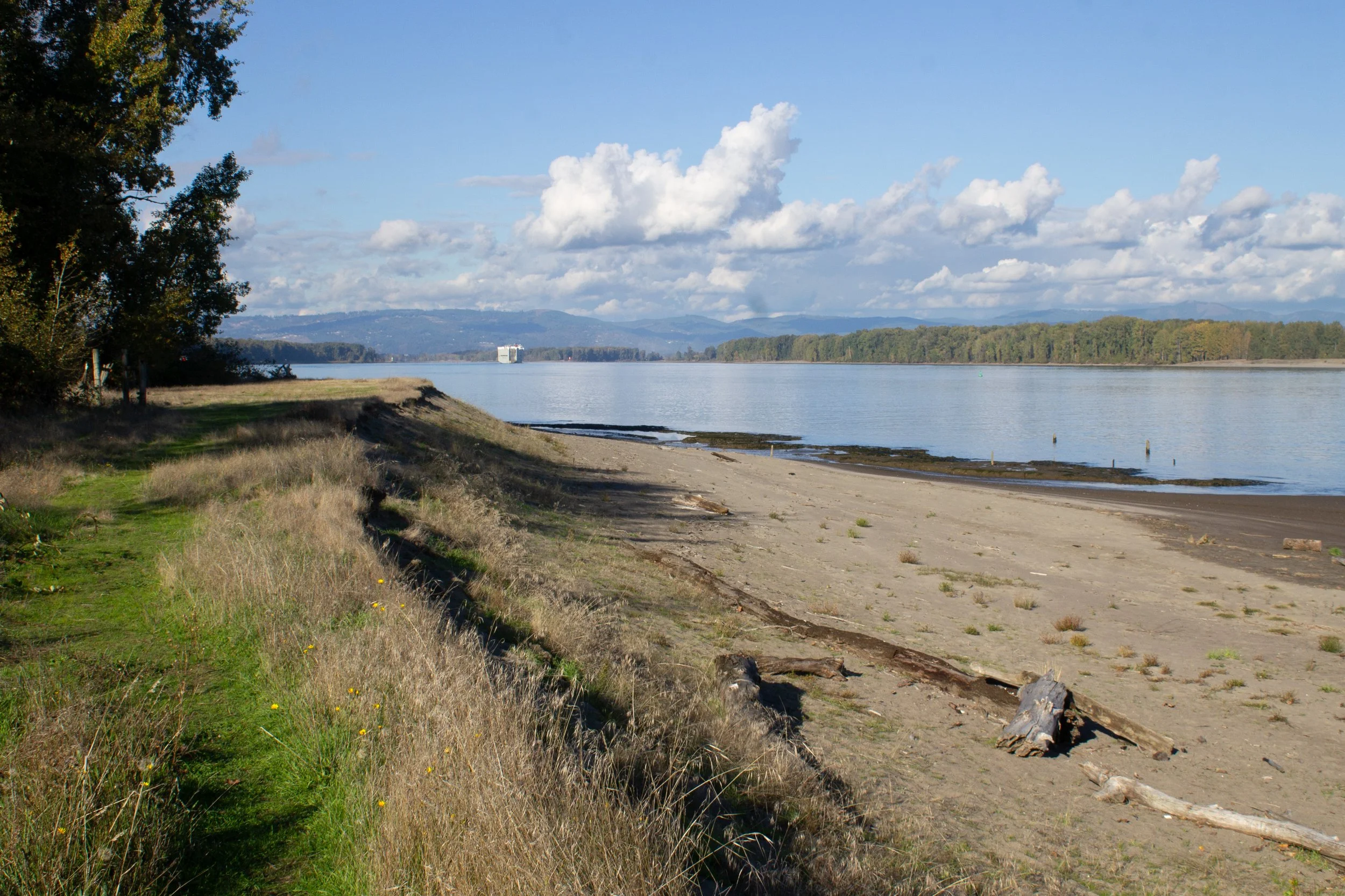 9 Fun Things to Do on Sauvie Island — Pines and Vines — Pines and Vines