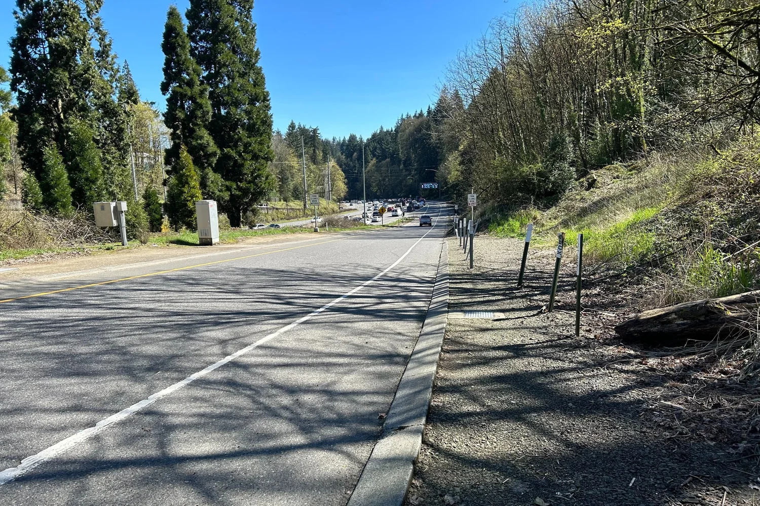 Portland’s 4T Trail, Step by Step — Pines and Vines