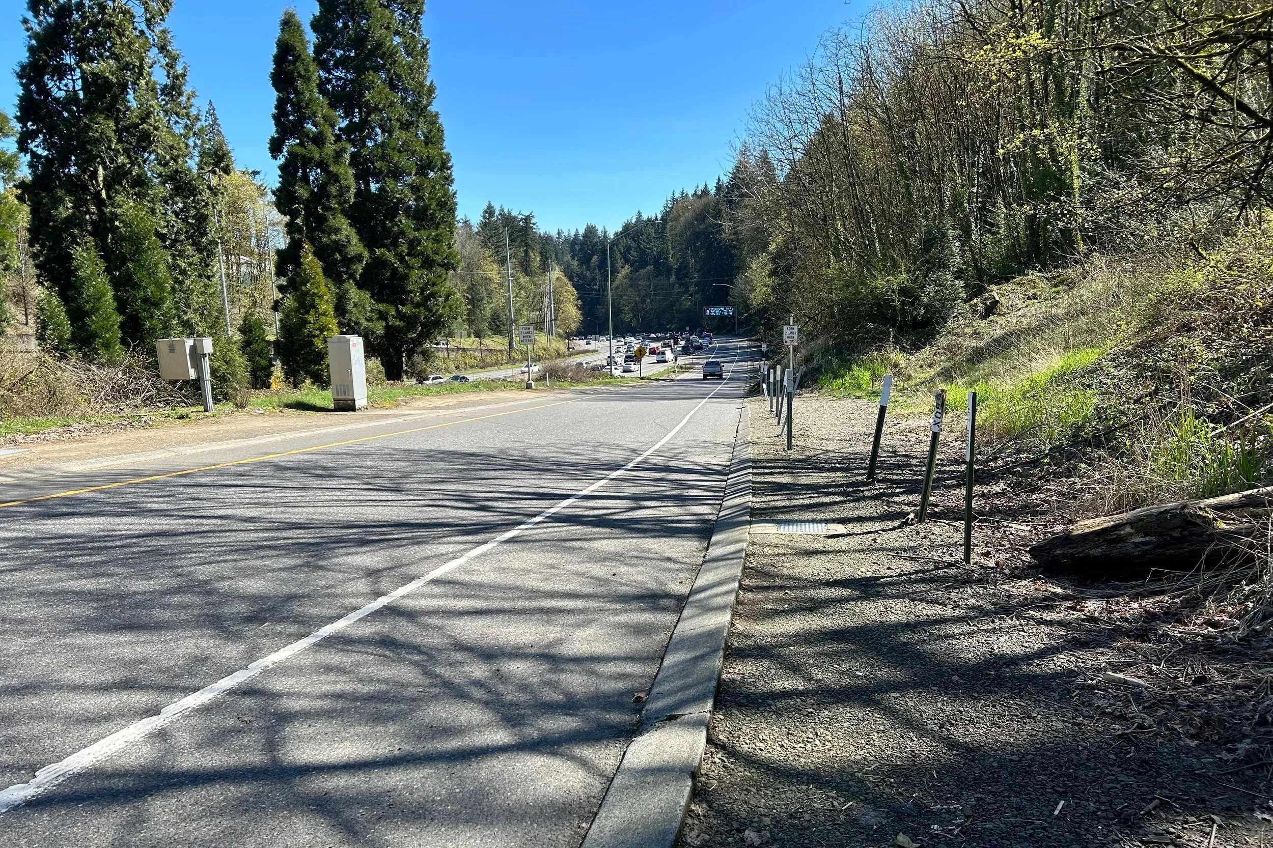 Portland’s 4T Trail, Step by Step — Pines and Vines