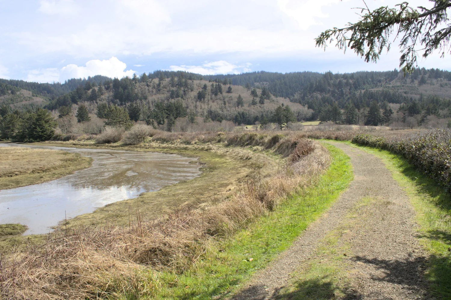 Sitka Sedge State Natural Area Hiking Guide — Pines and Vines