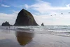 20 Most Stunning Beaches on the Oregon Coast — Pines and Vines