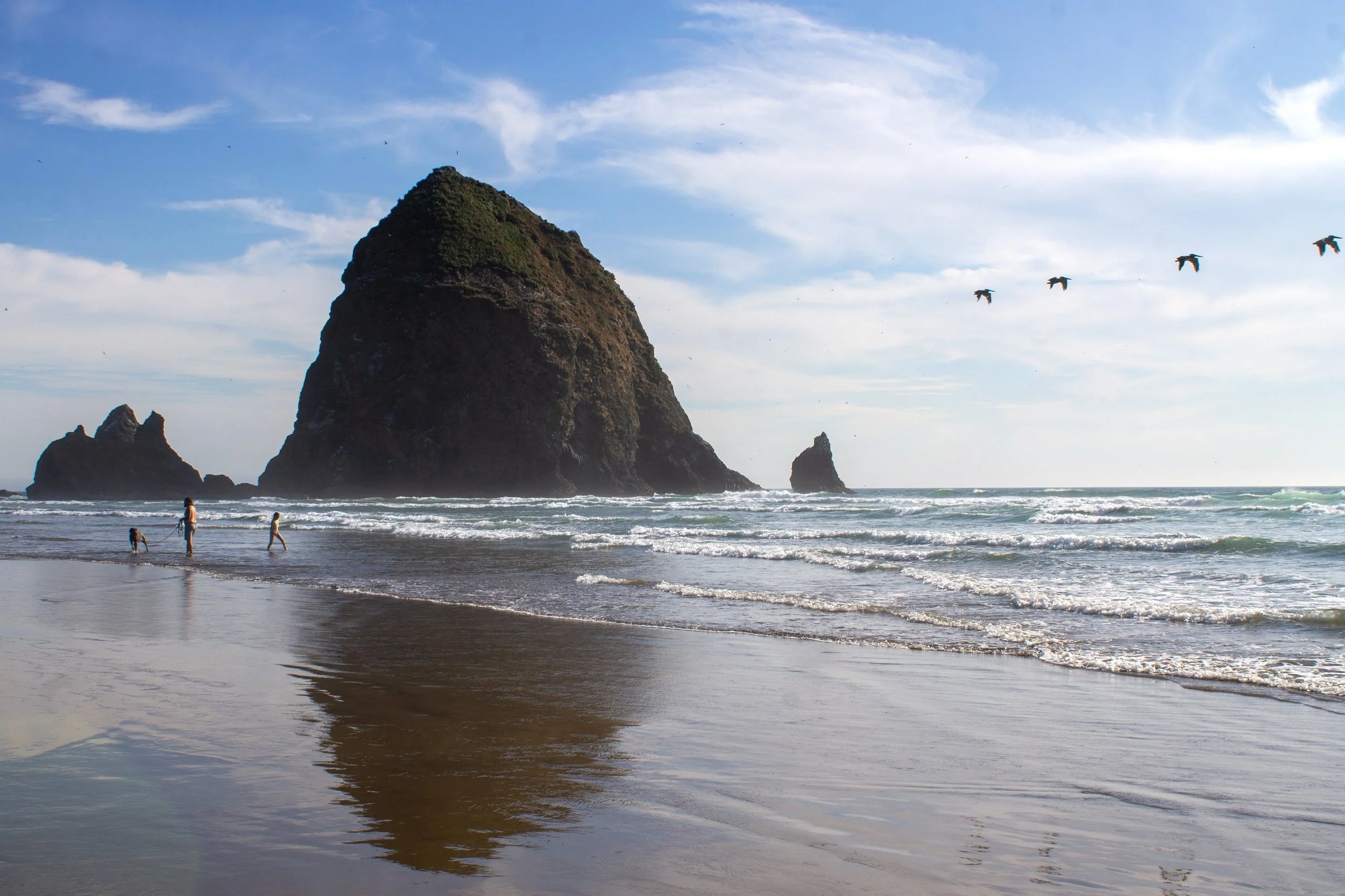 20 Most Stunning Beaches on the Oregon Coast — Pines and Vines