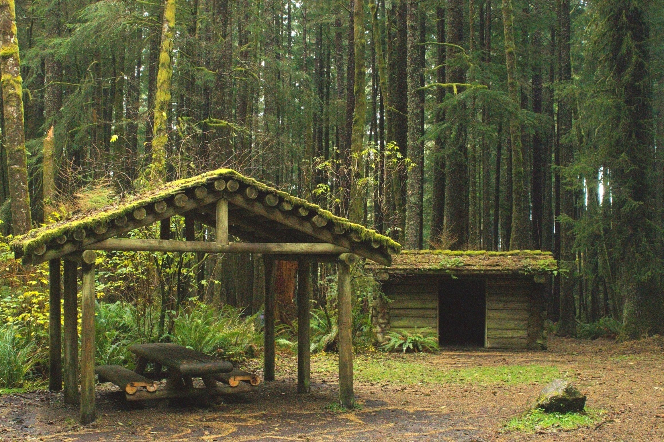 Ecola State Park and the Clatsop Loop Trail — Pines and Vines — Pines ...