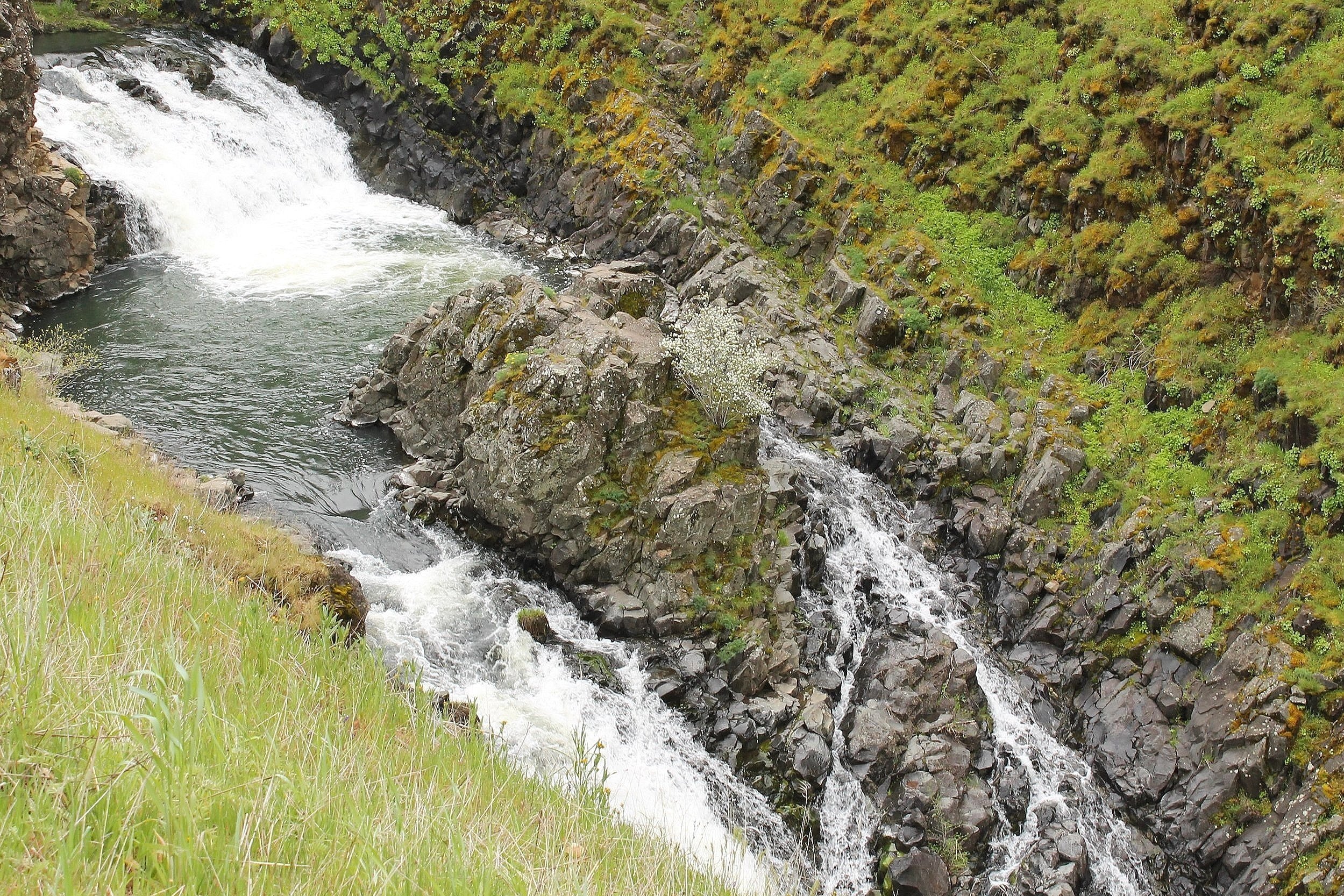 10 Great Spring Hikes near Portland — Pines and Vines