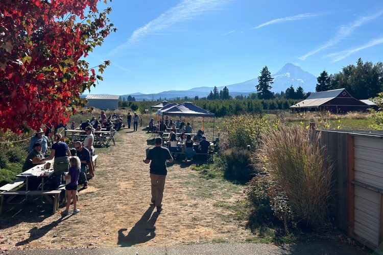 15 Fun Things to Do in Hood River, Oregon — Pines and Vines