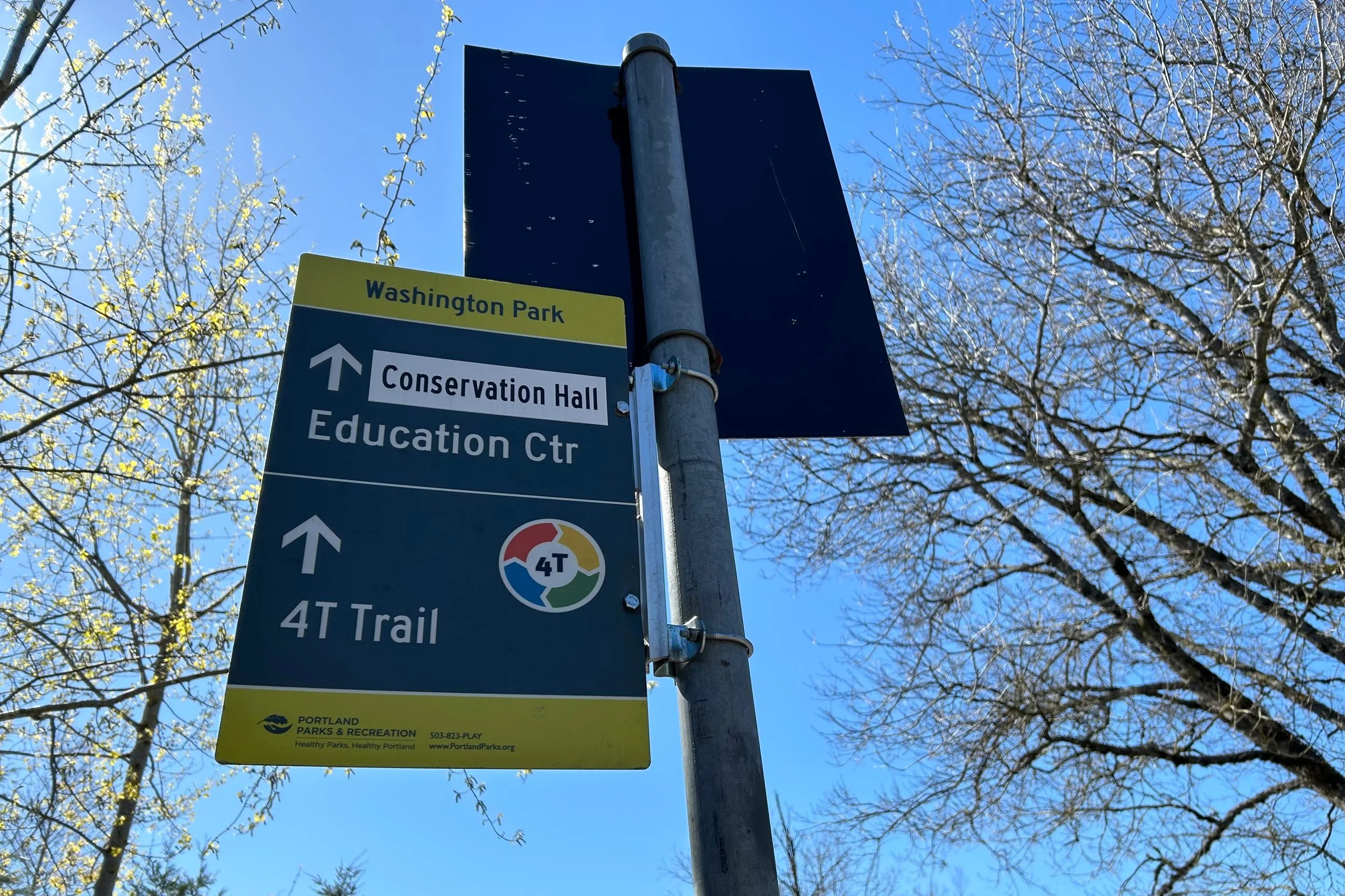 Portland’s 4T Trail, Step by Step — Pines and Vines