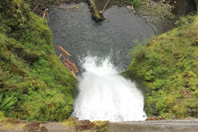 Multnomah Falls Permit System in 2026 — Pines and Vines