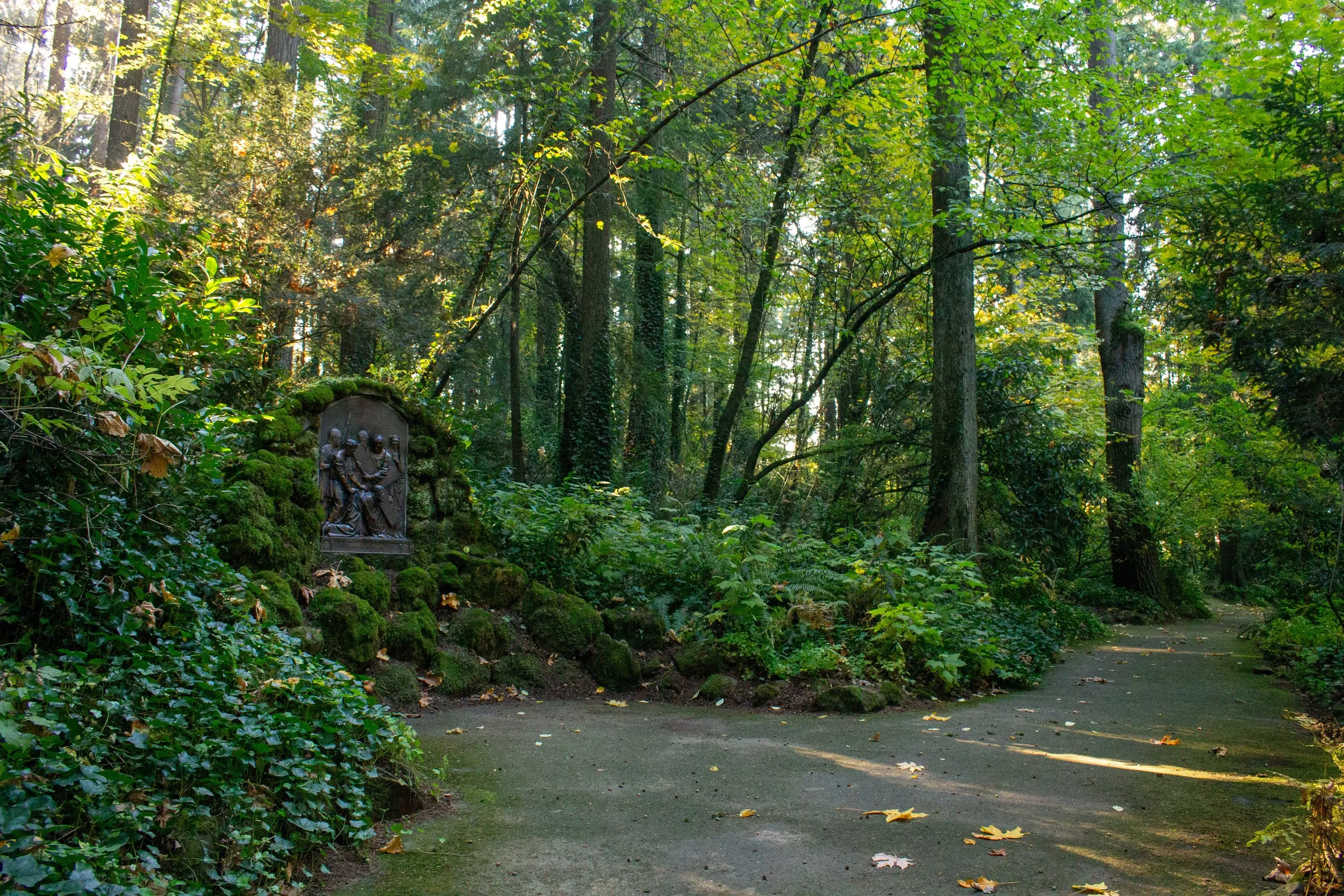 Visiting the Grotto in Portland — Pines and Vines