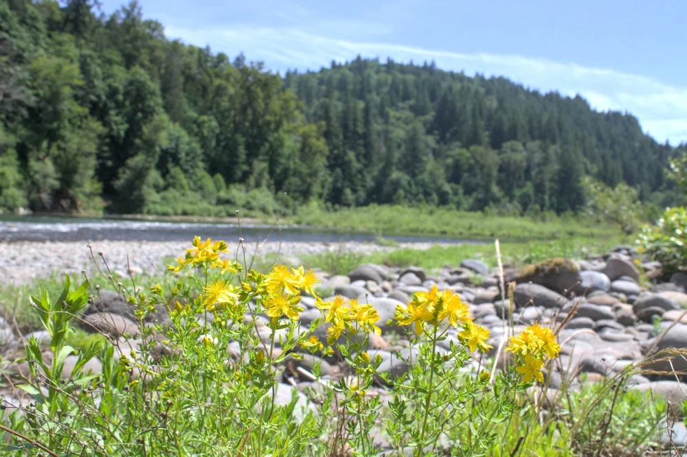 7 Fun Things to Do at Oxbow Regional Park — Pines and Vines