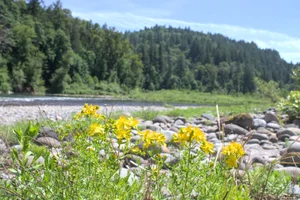 7 Fun Things to Do at Oxbow Regional Park — Pines and Vines