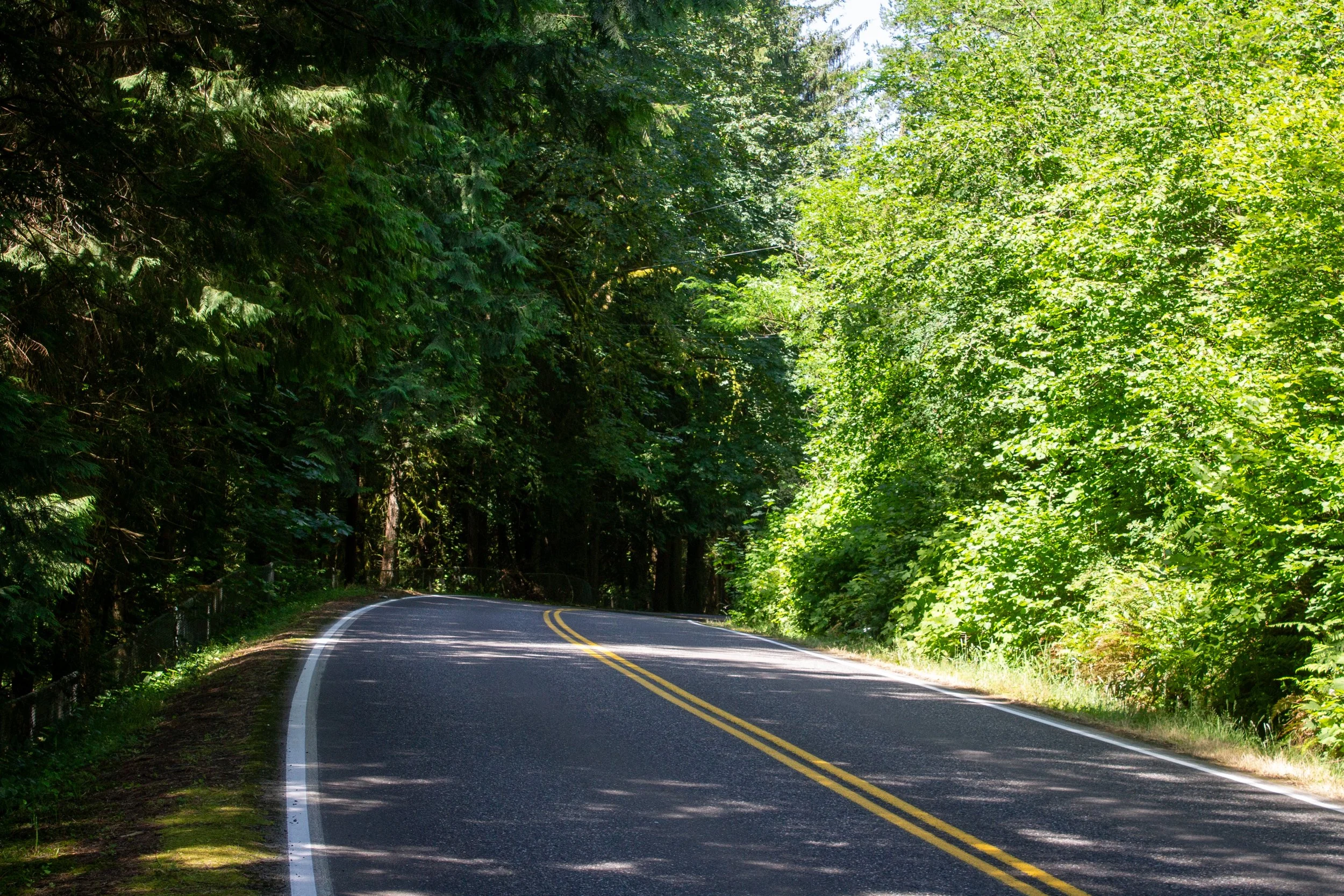 Quick Guide to Moulton Falls Regional Park — Pines and Vines