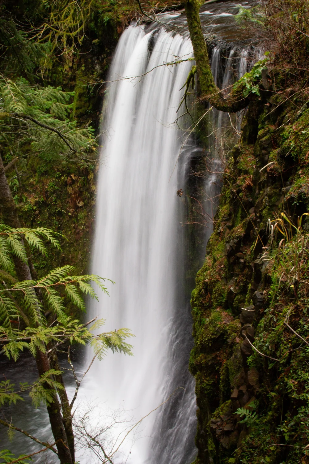 Multnomah Falls - Wahkeena Falls Loop Hike — Pines and Vines — Pines ...