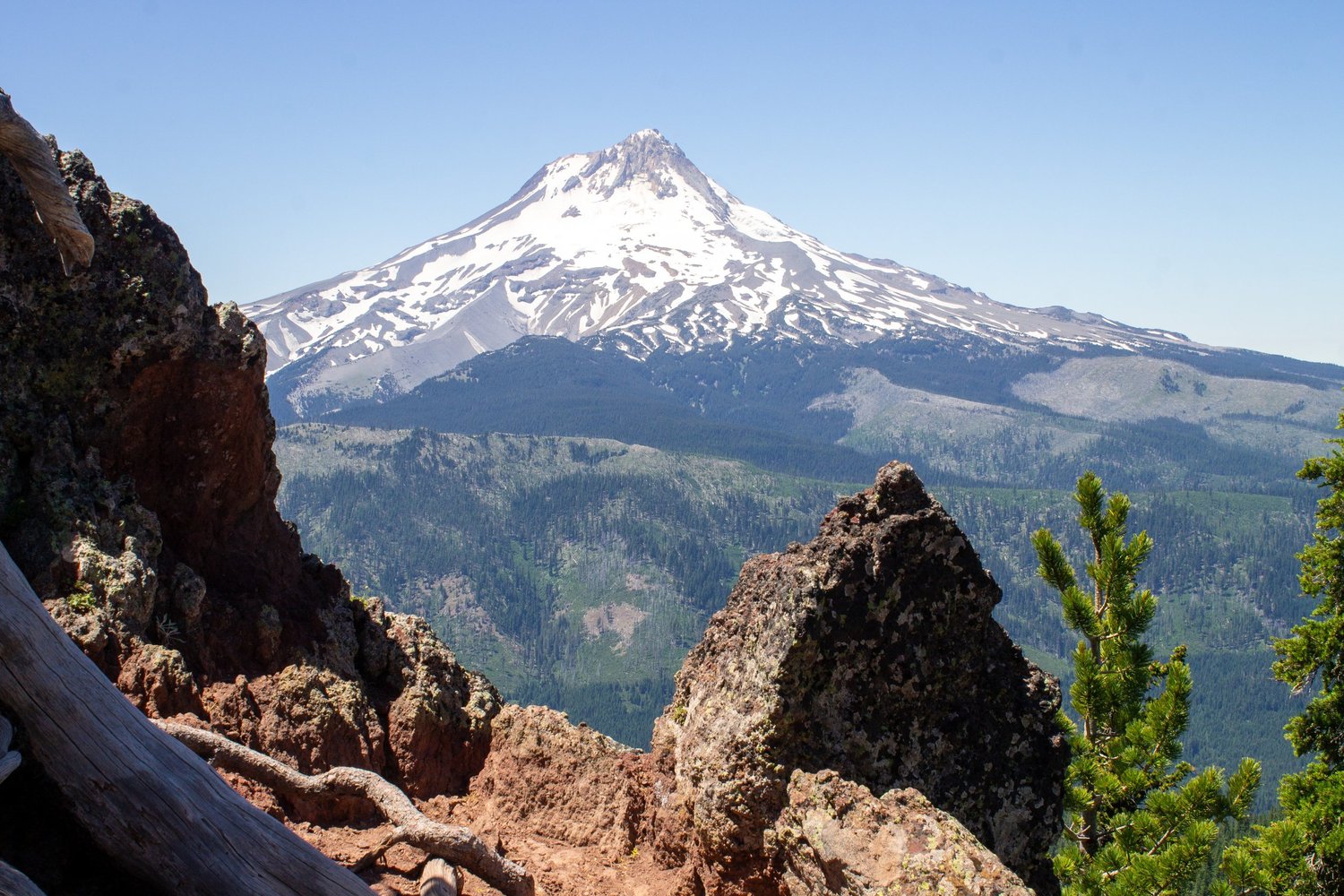 Hike on Lookout Mountain for Wildflowers and Mountain Vistas — Pines ...