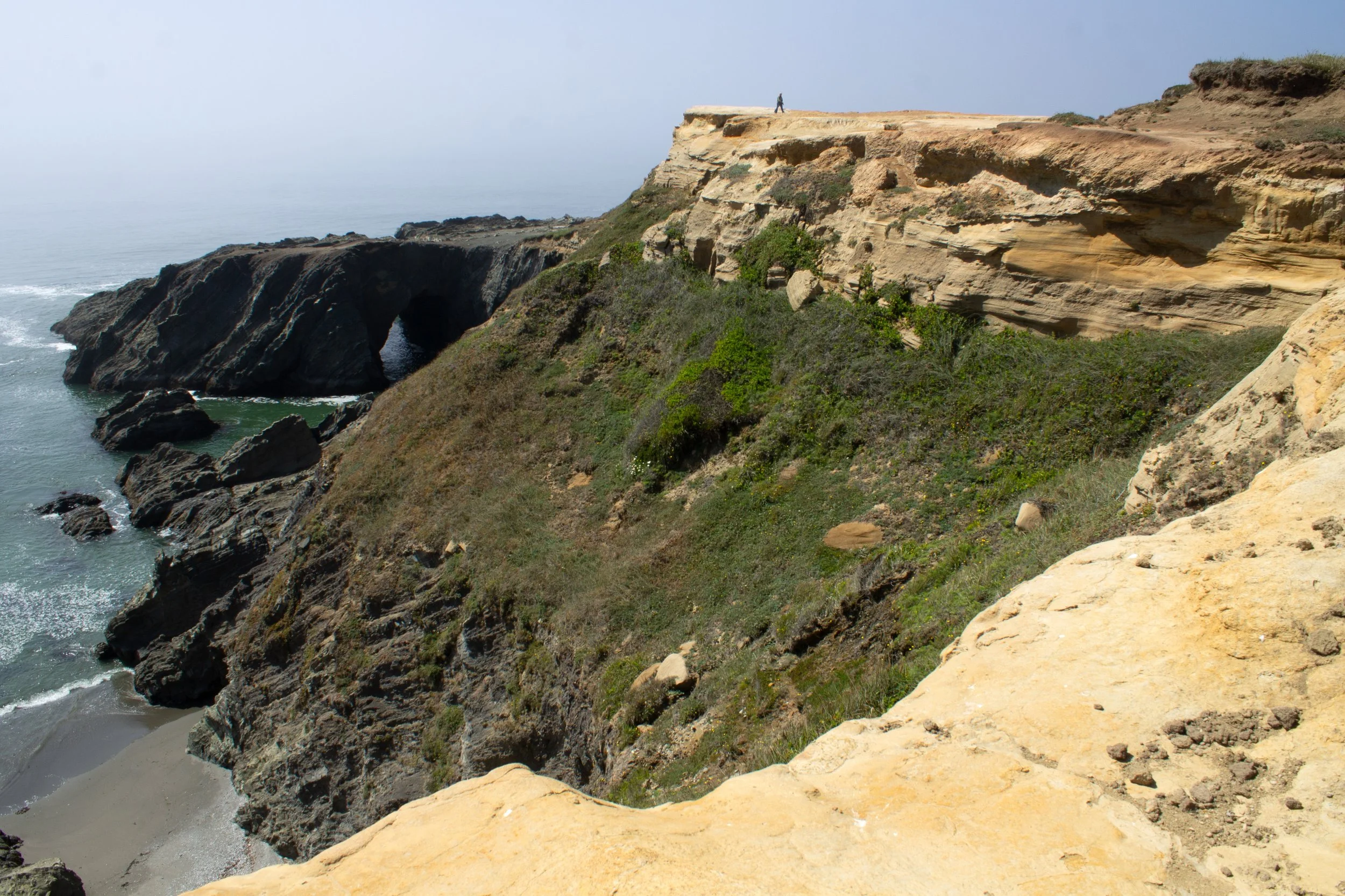 Quick Guide to Otter Point State Recreation Site — Pines and Vines