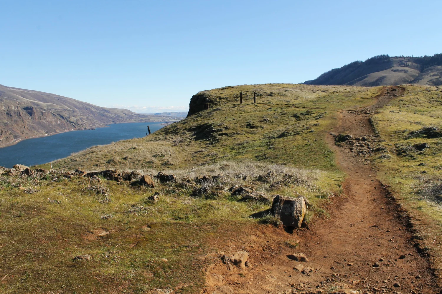 11 Best Snow-Free Winter Hikes near Portland — Pines and Vines — Pines ...