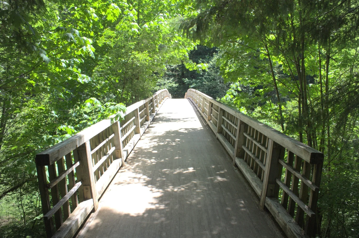 7 Fun Things to Do at Wildwood Recreation Site — Pines and Vines