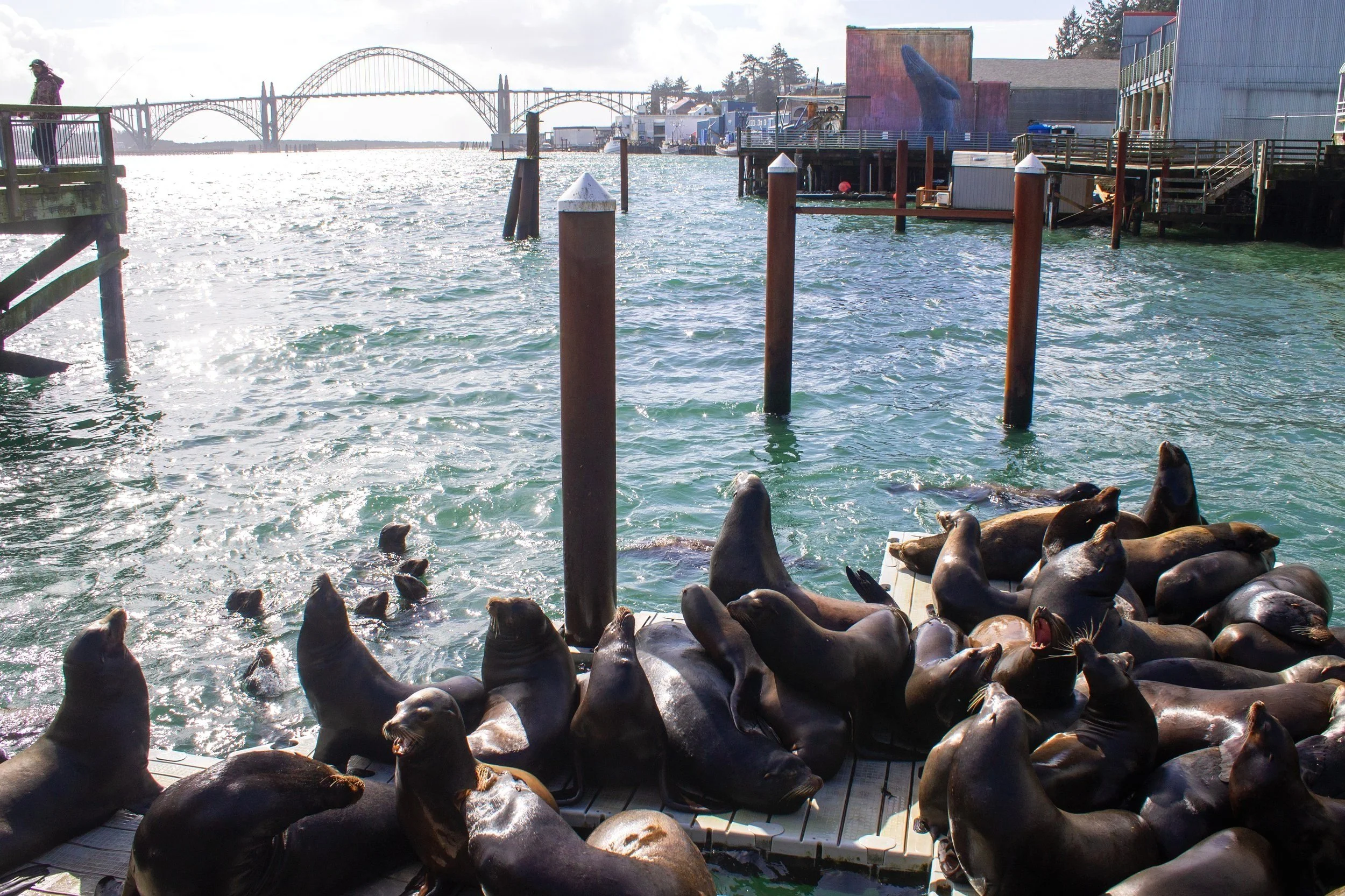 15 Fun Things to Do in Newport, OR — Pines and Vines