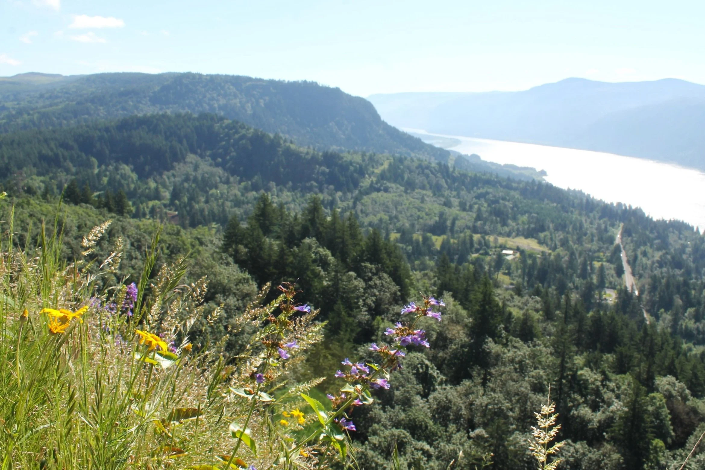 Quick Guide to Visiting Dougan Falls — Pines and Vines