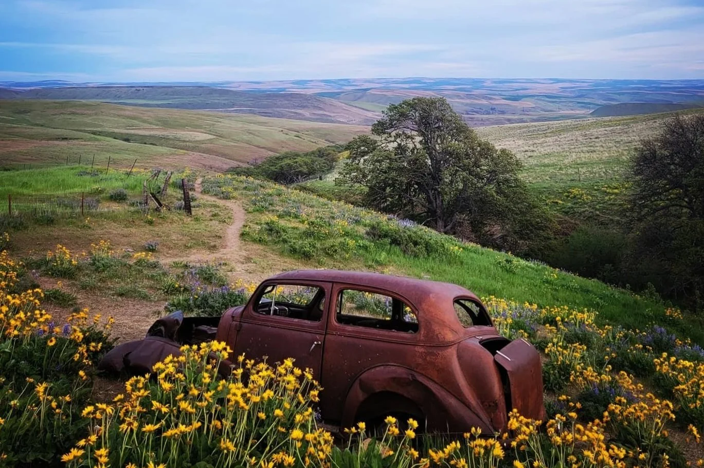 Best 10 Wildflower Hikes in the Columbia Gorge (that aren’t Dog ...