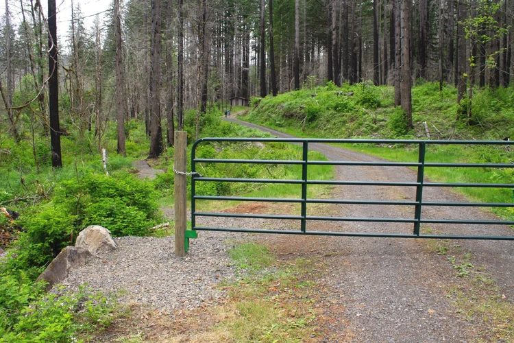 Hike the Shellburg Falls Trail [Reopened 2024] — Pines and Vines