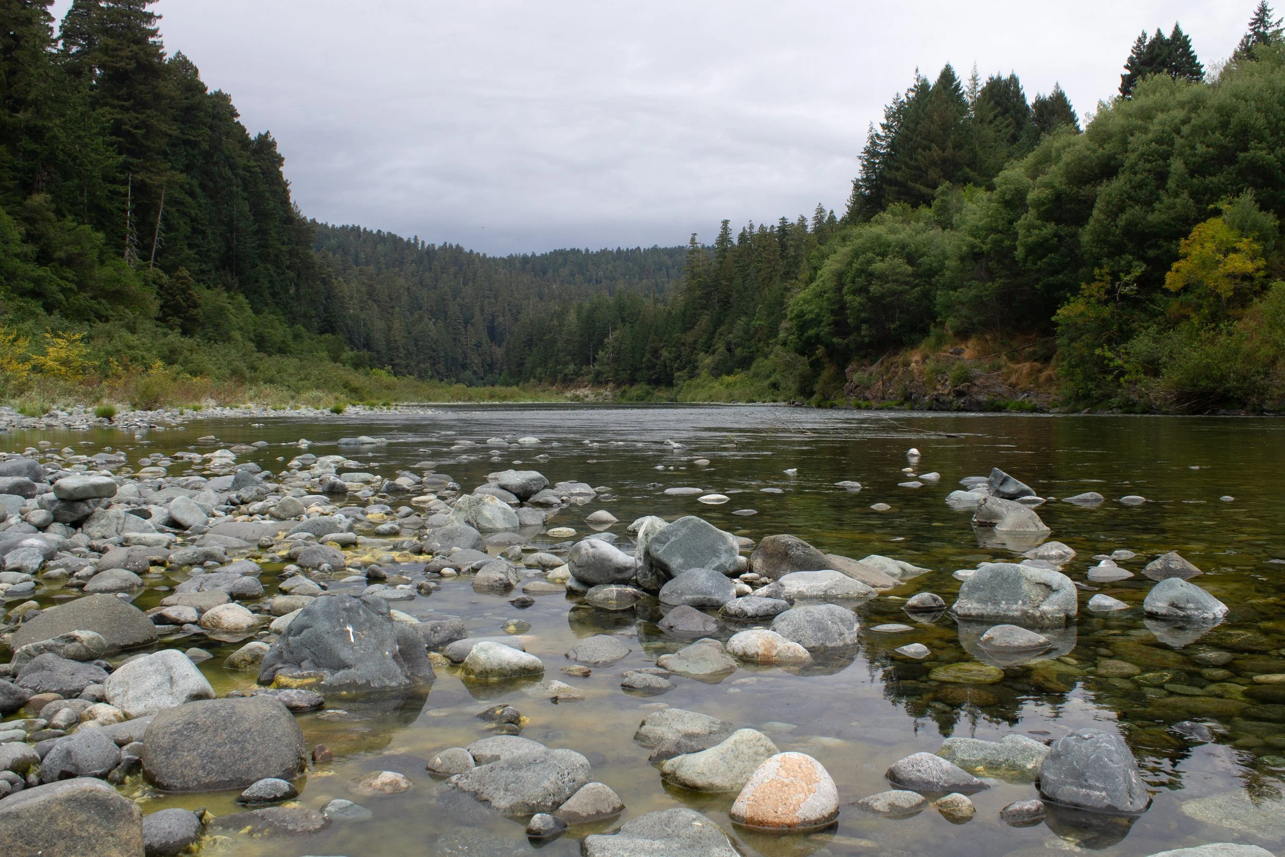Quick Guide to Jedediah Smith Redwoods State Park — Pines and Vines