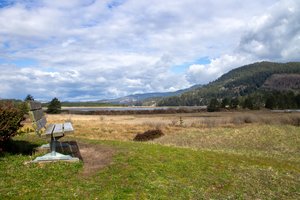 Sitka Sedge State Natural Area Hiking Guide — Pines and Vines