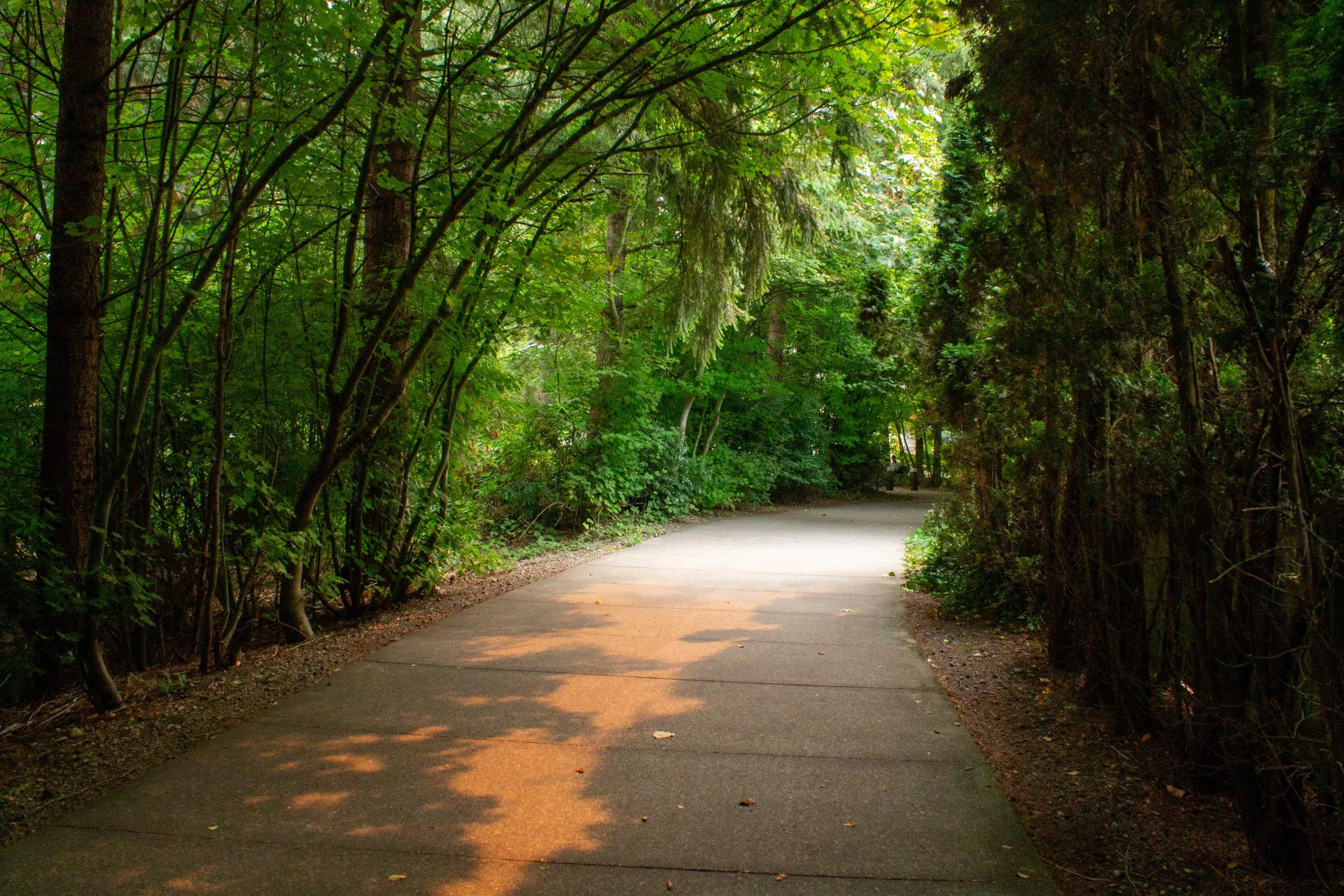 How to See Issaquah’s Giant Troll — Pines and Vines