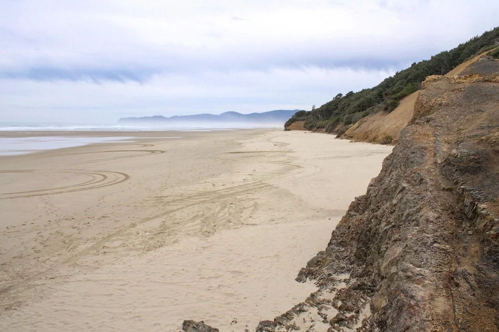 The Amazing Rocks of McPhillips Beach — Pines and Vines — Pines and Vines