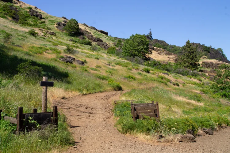 Labyrinth Trail to Coyote Wall Loop Hike — Pines and Vines