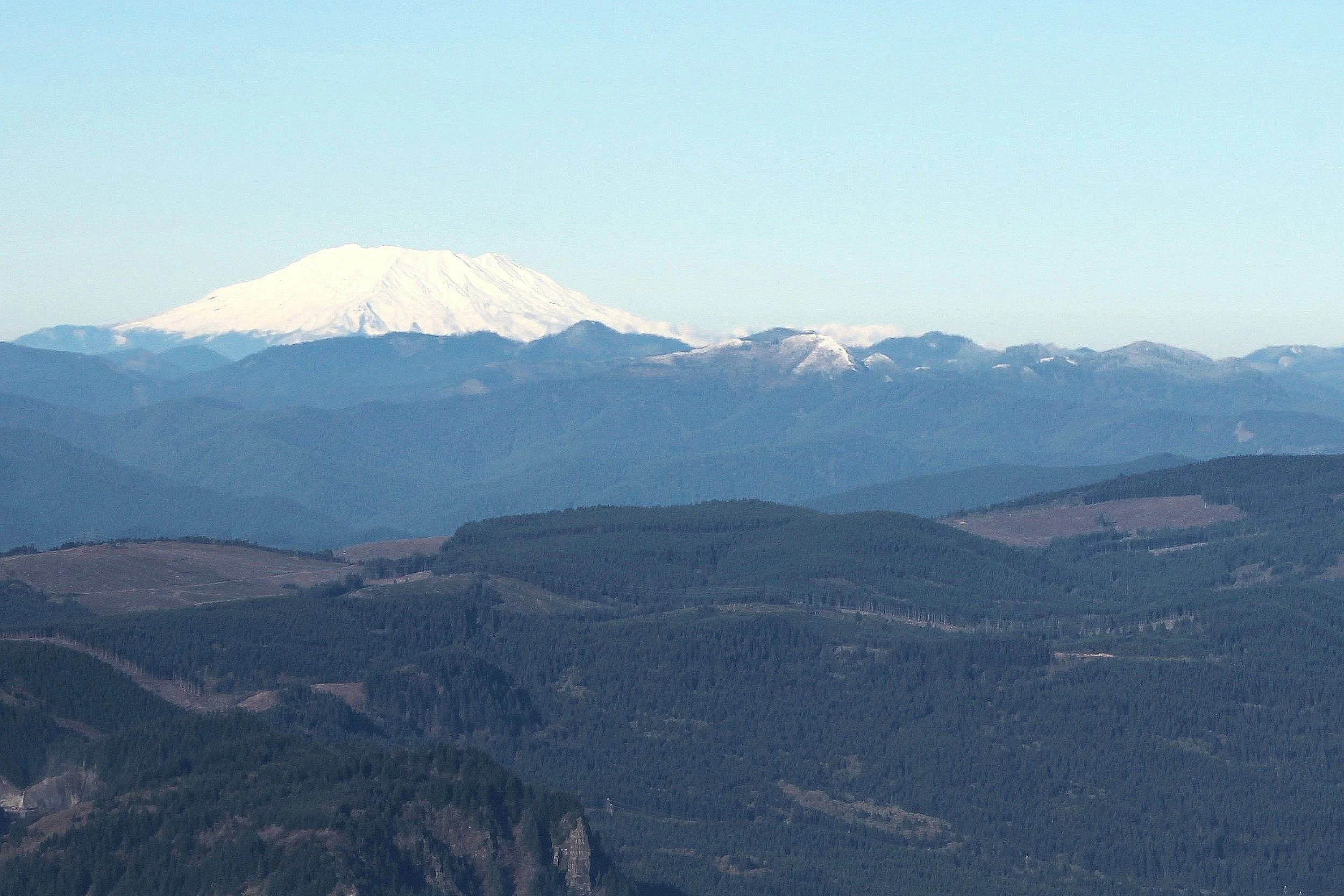 Larch Mountain’s Incredible Sherrard Point — Pines and Vines — Pines ...