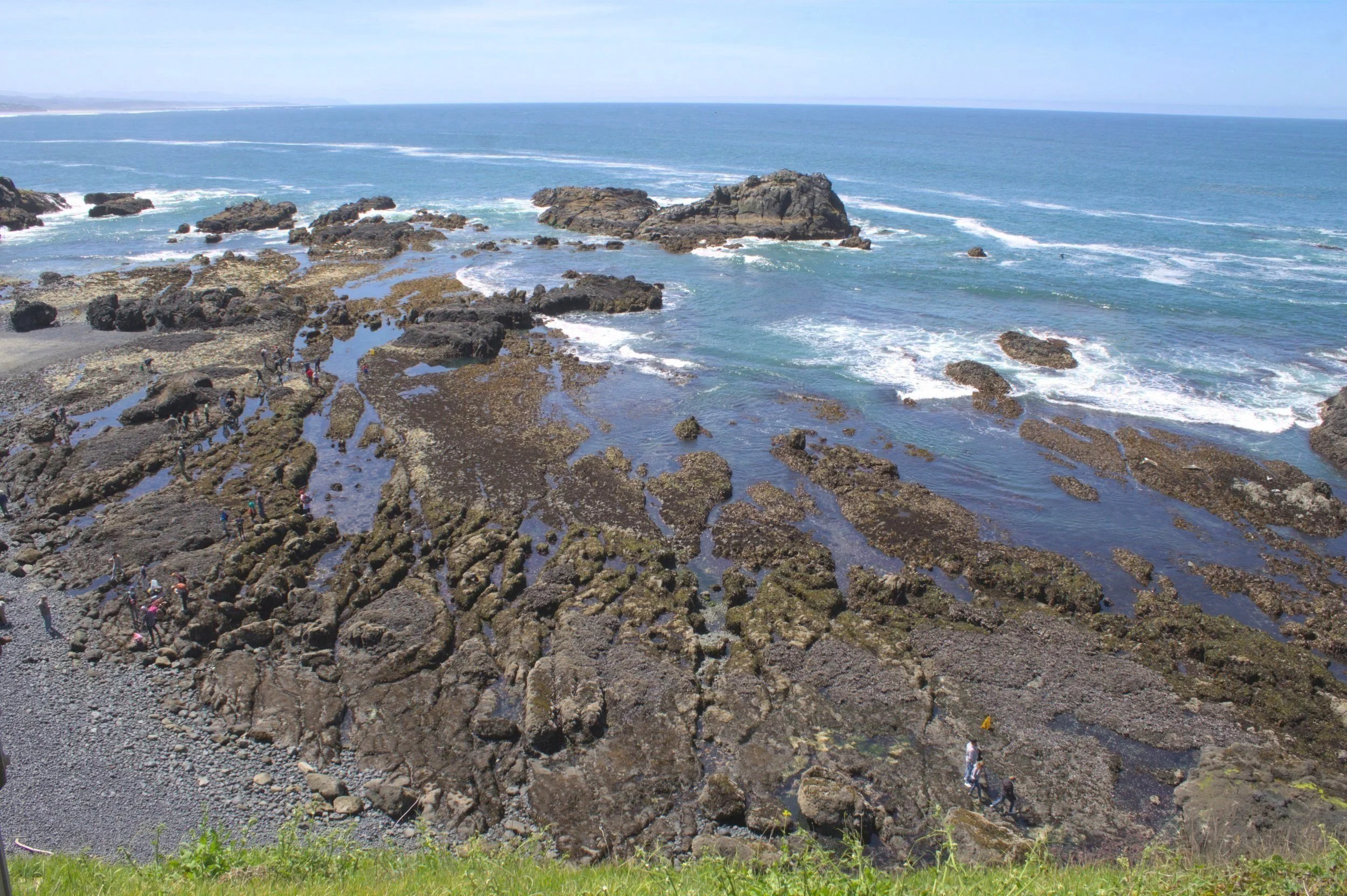 7 Fun Things to Do at Yaquina Head Outstanding Natural Area — Pines and ...