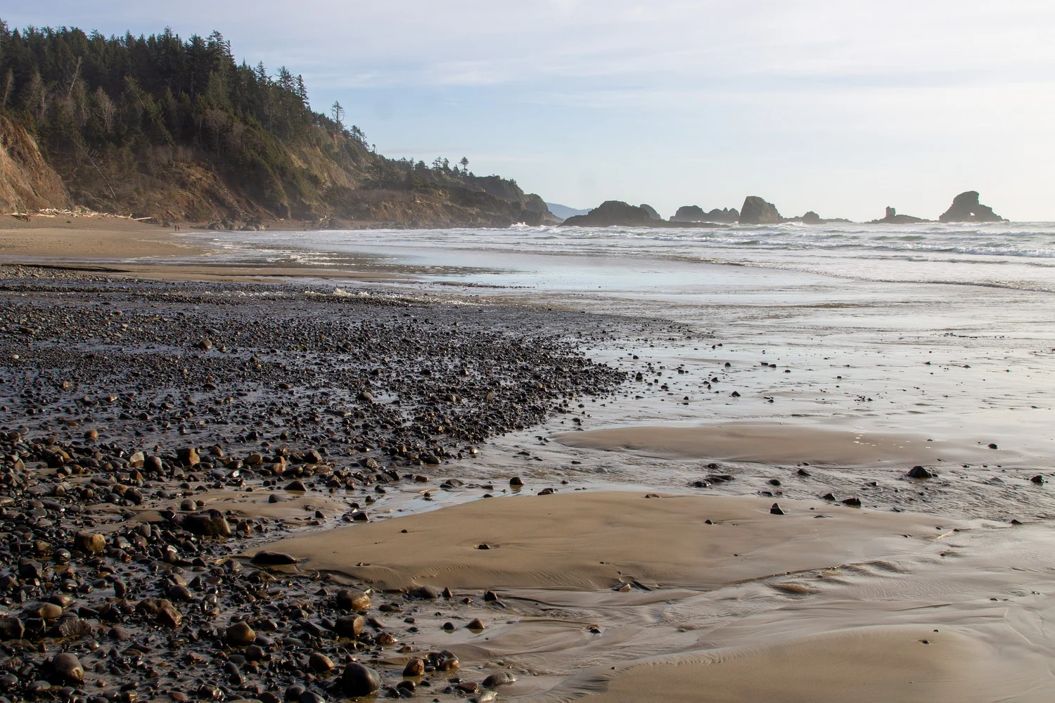 Quick Guide to Indian Beach, OR — Pines and Vines