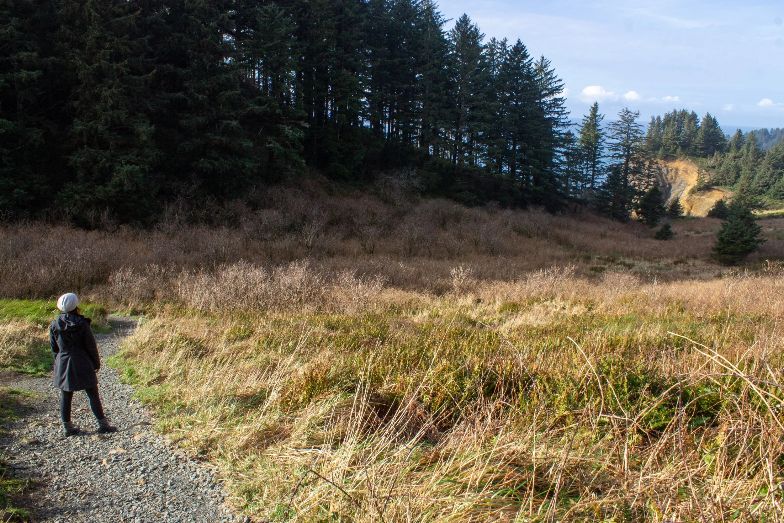 Hike the Elk Flats Trail to Devils Cauldron — Pines and Vines