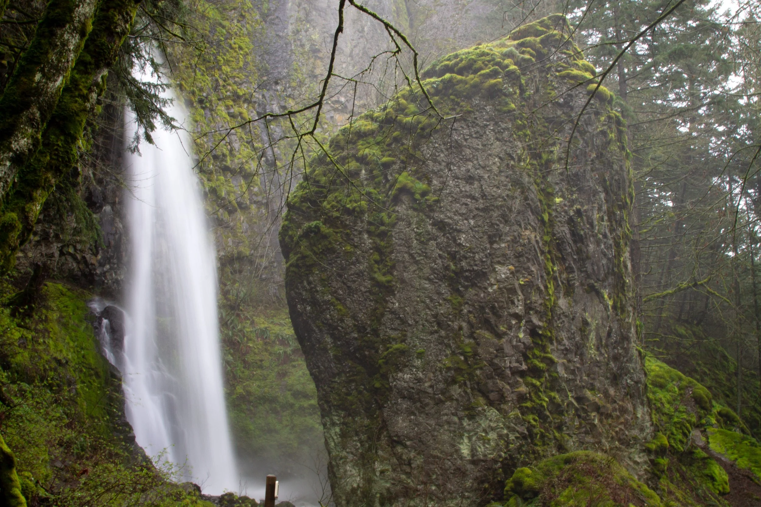 15 Hidden Gem Hikes near Portland — Pines and Vines