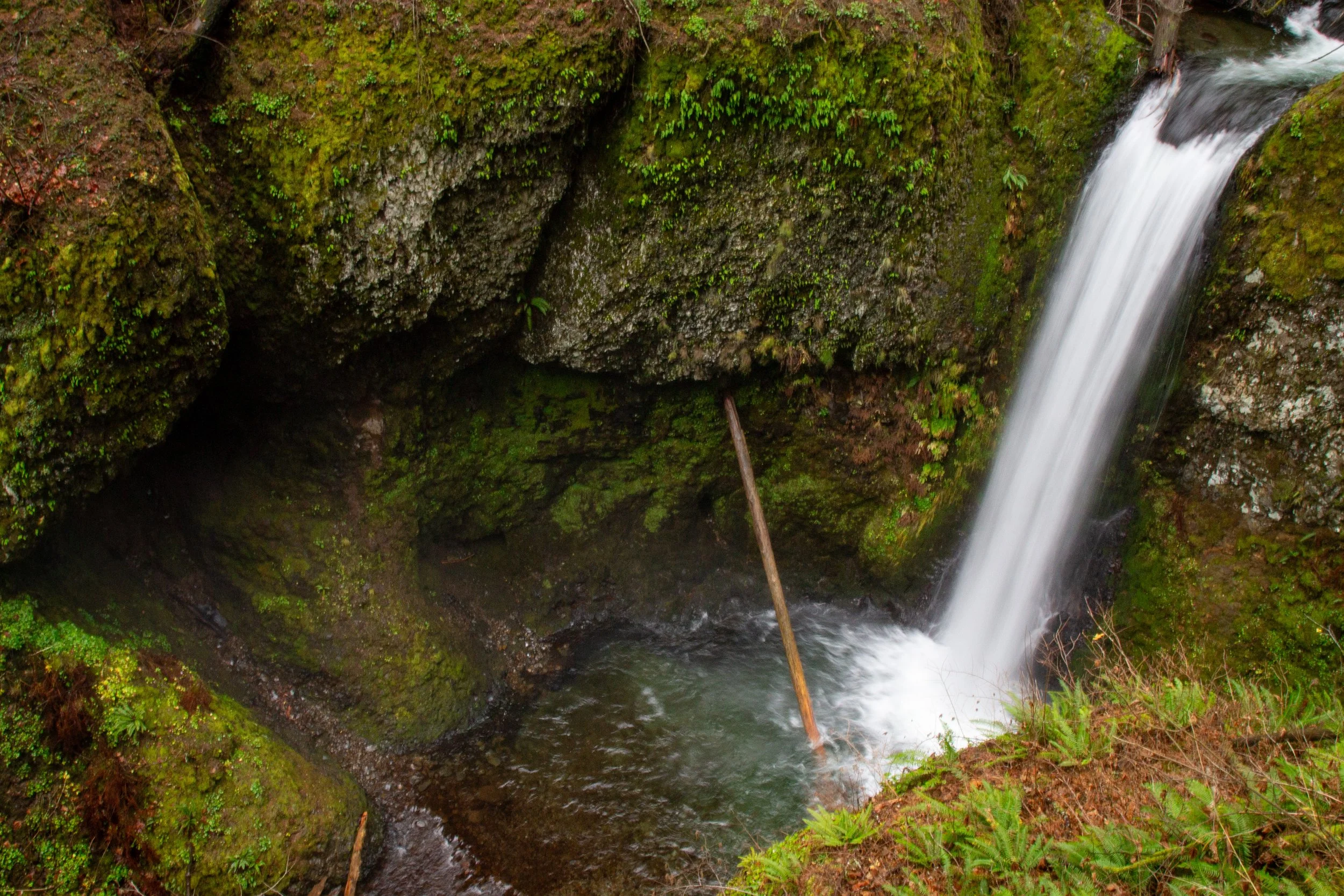 Multnomah Falls - Wahkeena Falls Loop Hike — Pines and Vines — Pines ...