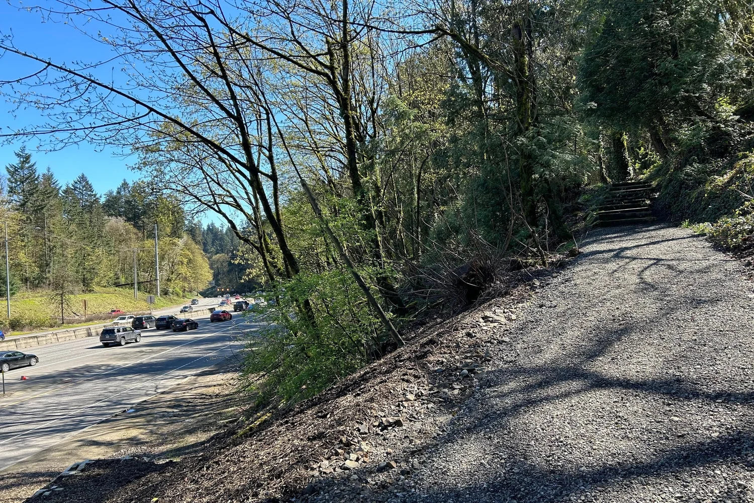 Portland’s 4T Trail, Step by Step — Pines and Vines