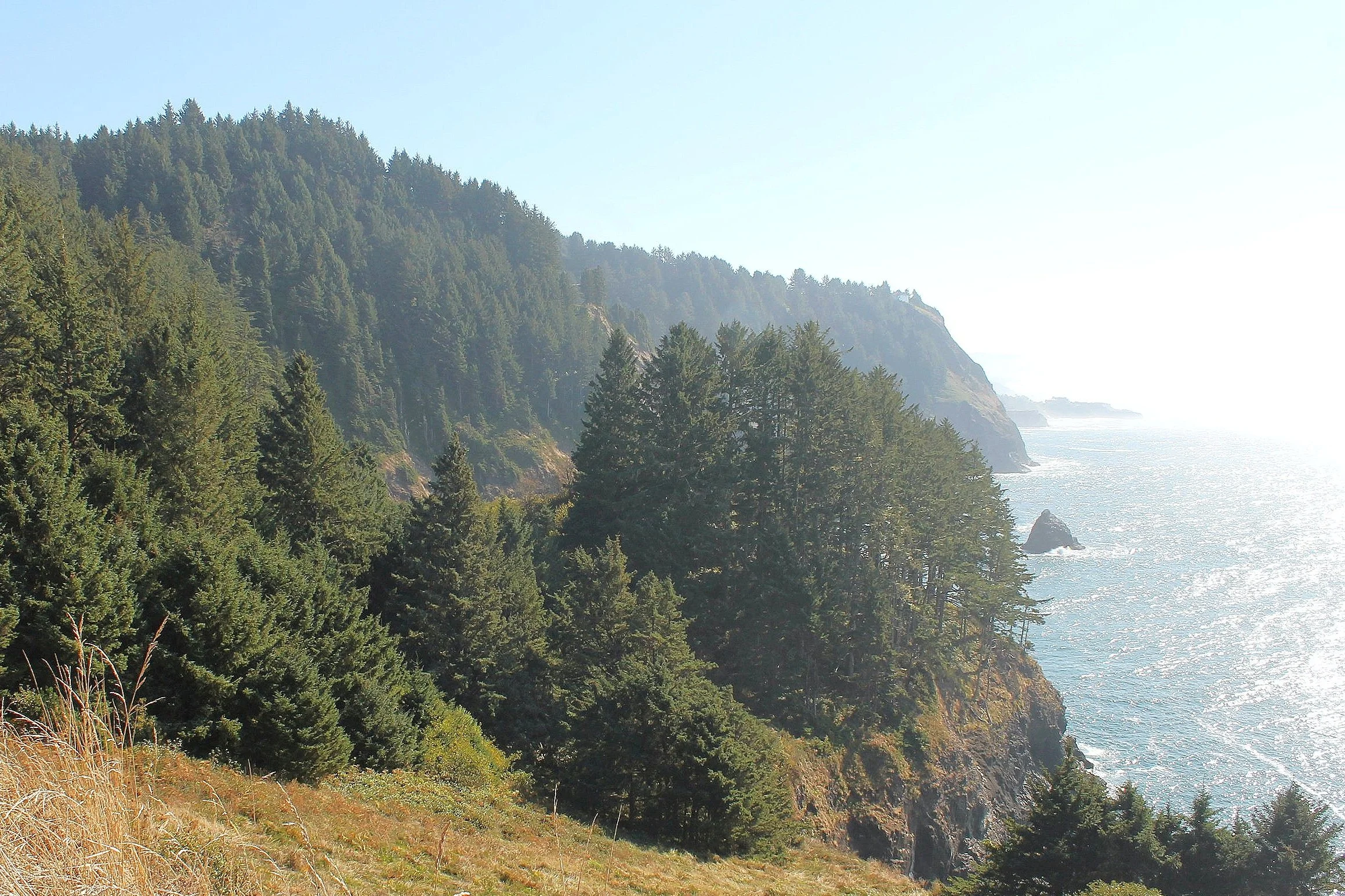 Best 10 Stops on the Oregon Coast from Depoe Bay to Newport — Pines and ...