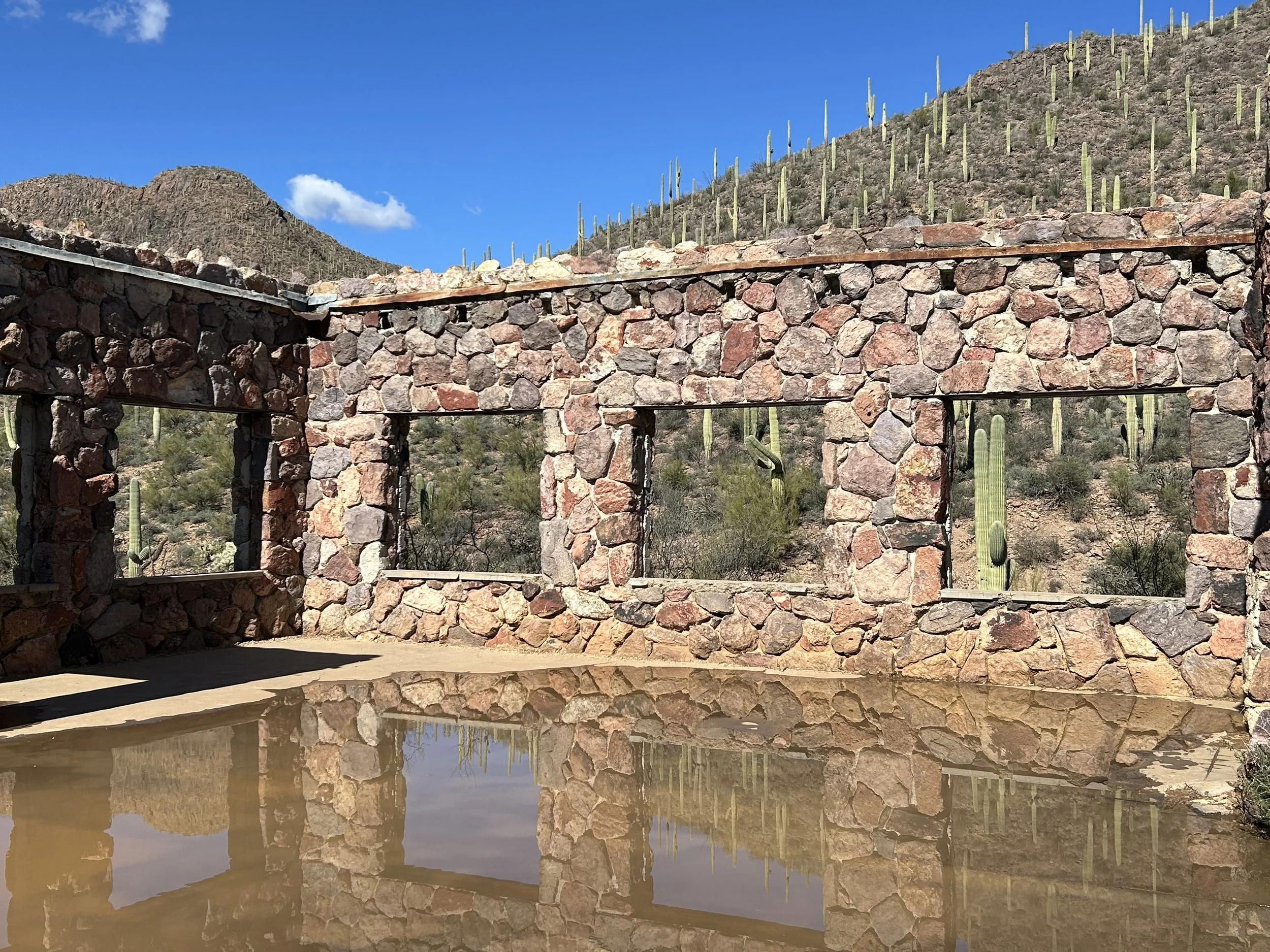 Quick Guide to Visiting Tucson, AZ, in the Winter — Pines and Vines