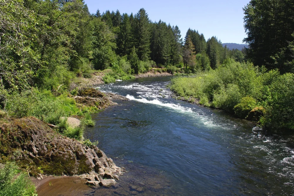 15 Best Swimming Holes and Beaches near Portland — Pines and Vines