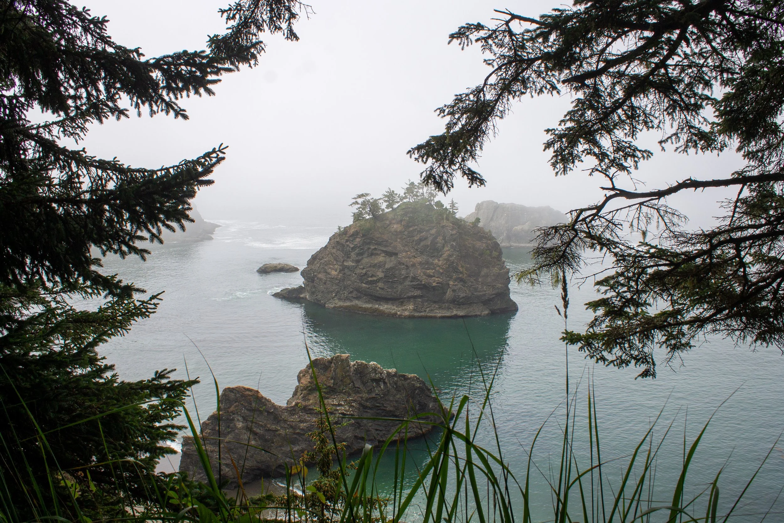 Detailed directions to Secret Beach, Oregon — Pines and Vines