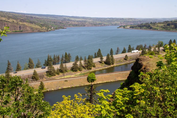 Explore the Mosier Twin Tunnels — Pines and Vines