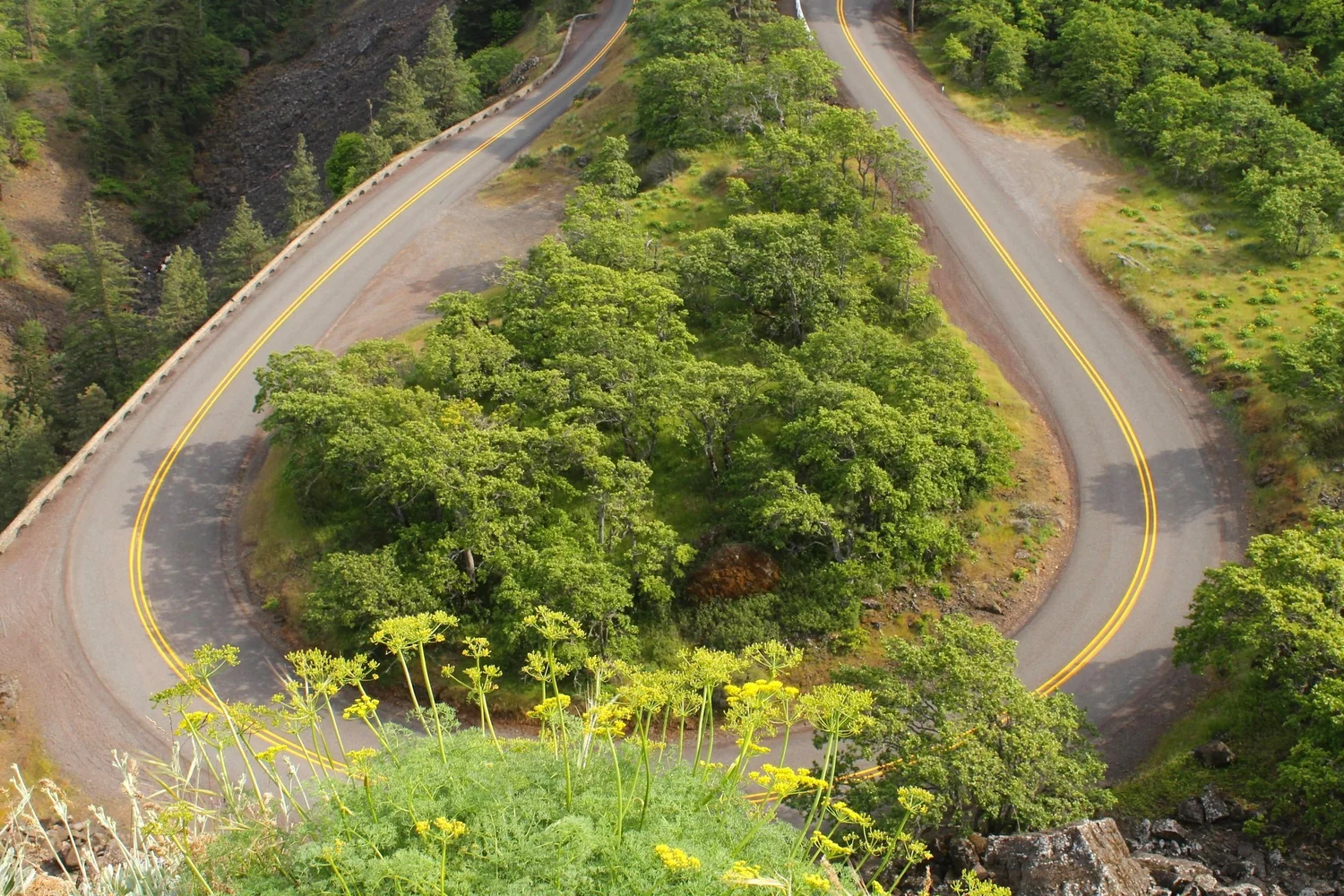 20 Awesome Day Trips from Portland — Pines and Vines