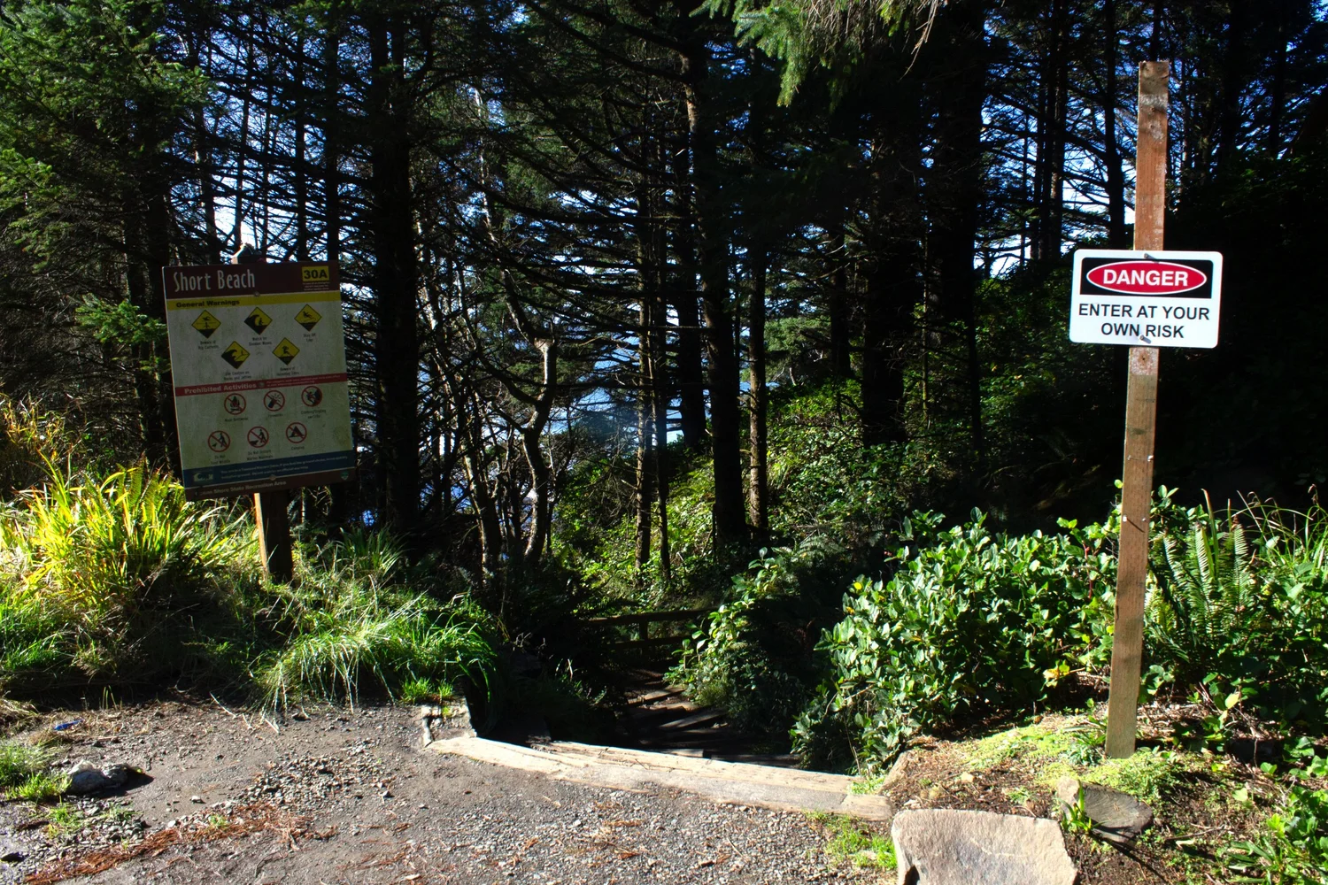 How to Find Short Beach on the Oregon Coast — Pines and Vines