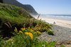 10 Stunning Secret Beaches on the Oregon Coast — Pines and Vines